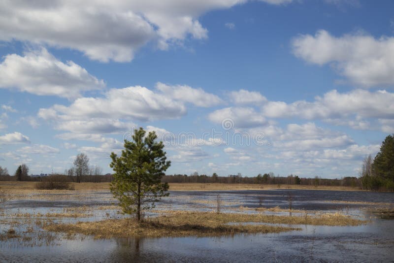 The flood from lake stock photo. Image of emergency, destruction - 14631576
