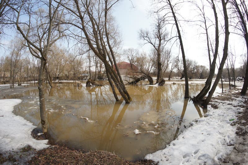 Spring flood stock image. Image of flooded, scene, drowned - 245338765