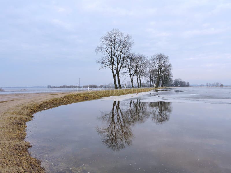 Spring flood , Lithuania stock photo. Image of brown - 87394440