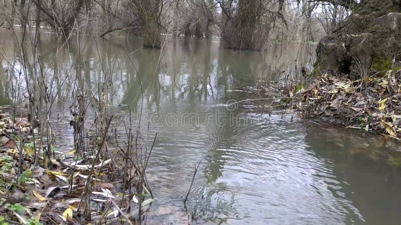 Spring Flood Raised the Water Level in the River and Broke the ...