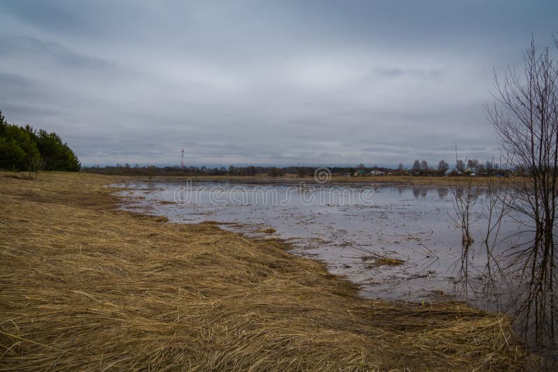 Spring flood of the river stock image. Image of trees - 293516947