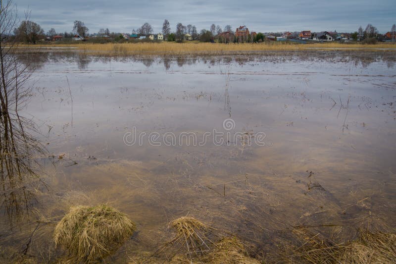 Spring flood of the river stock photo. Image of tree - 293516966