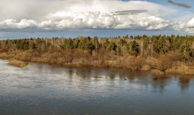 Spring Flood of the River, Flooded Coastal Bushes and Trees Stock Photo ...