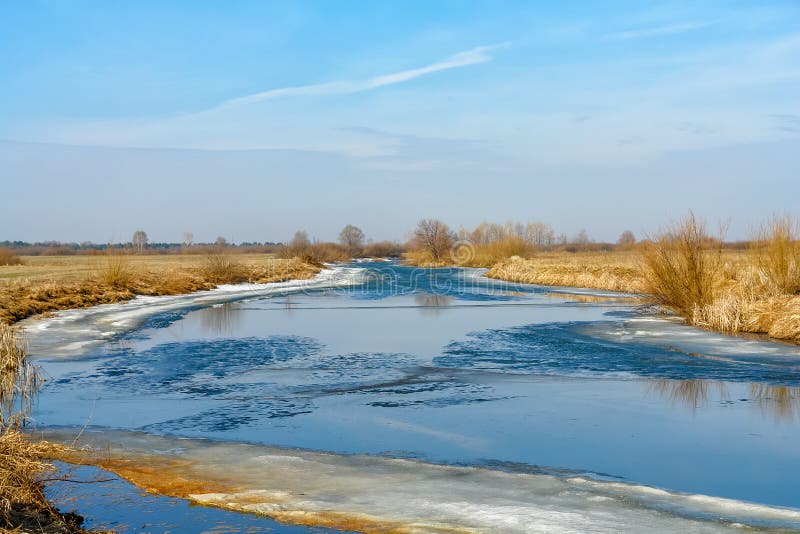 Spring Flood on the River. High Water Stock Image - Image of meadow ...