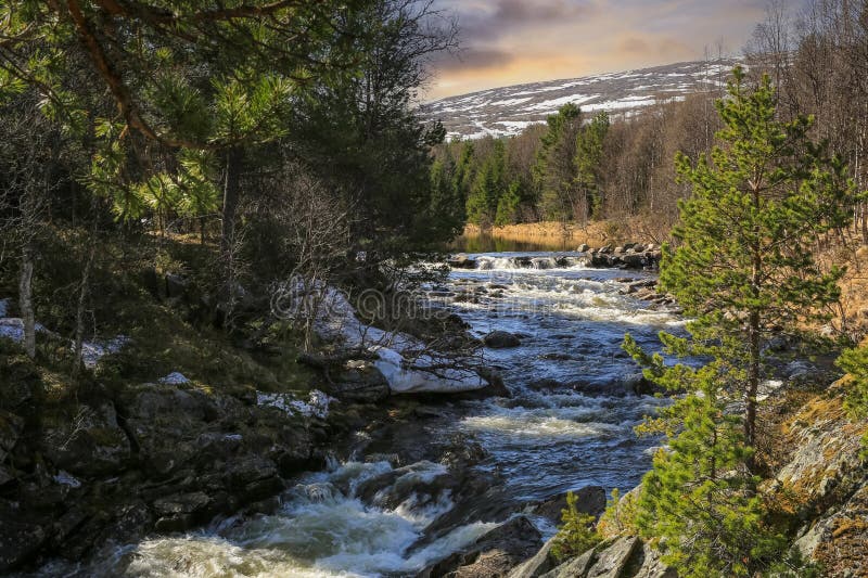 Spring Flood at the River Inna, Norway Stock Photo - Image of people ...