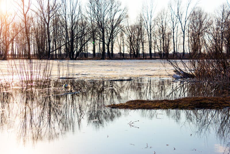 Spring Flood on the river stock image. Image of river - 90815599