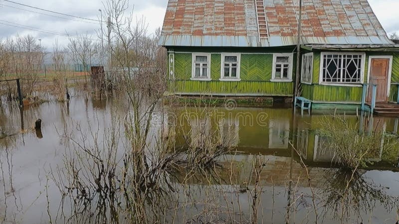 The Spring the Flood of the River after the Rain Flooding the Garden ...