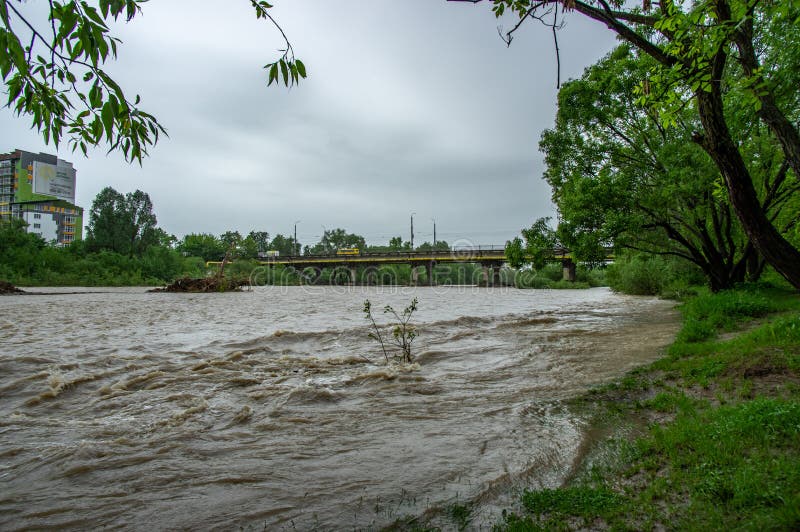 Spring flood on the river stock photo. Image of donets - 148373512