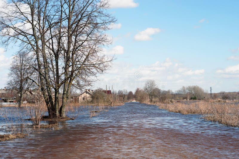 Spring flood river stock photo. Image of reflection, woods - 30713754