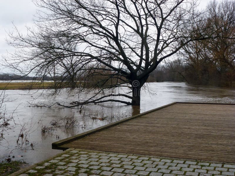 Spring Flood. the Water Level Rose Stock Image - Image of season, trees ...