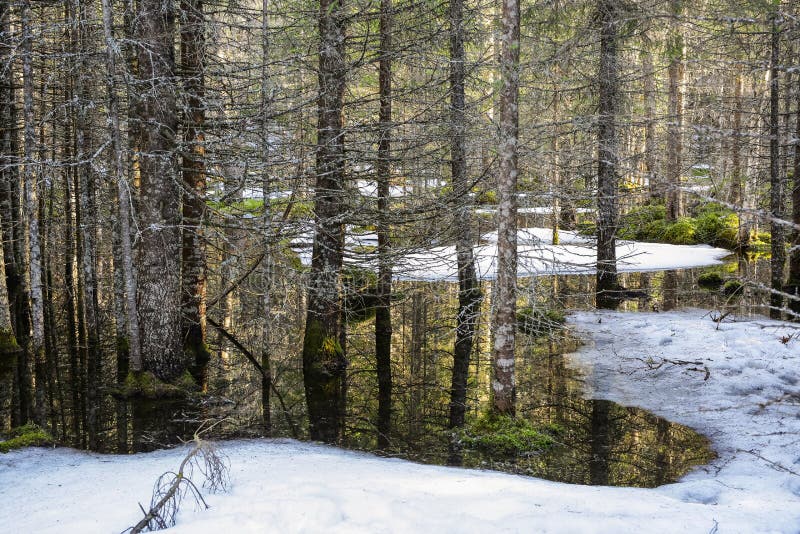 Spring flood stock image. Image of water, spring, melting - 180286815