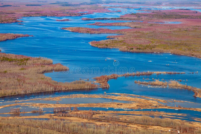 Spring Flooding of Forest River, Top View Stock Image - Image of flood ...