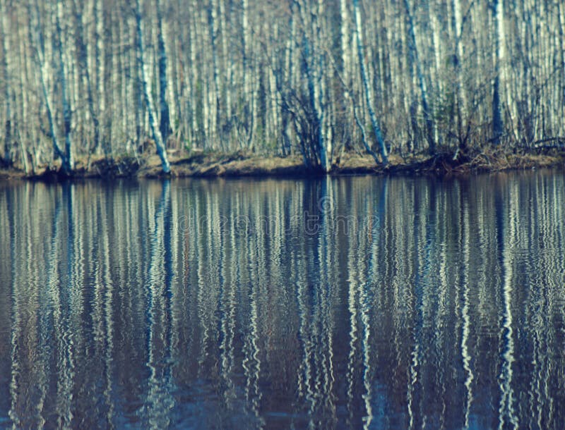 Spring Flooding ,Reflection of Trees in Water Stock Photo - Image of ...