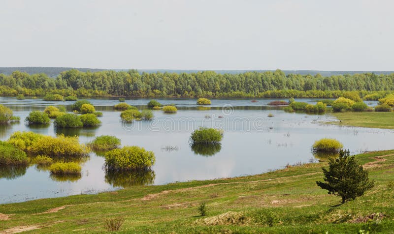 Spring. Floodplain Meadow Flooded with a River. Stock Photo - Image of ...