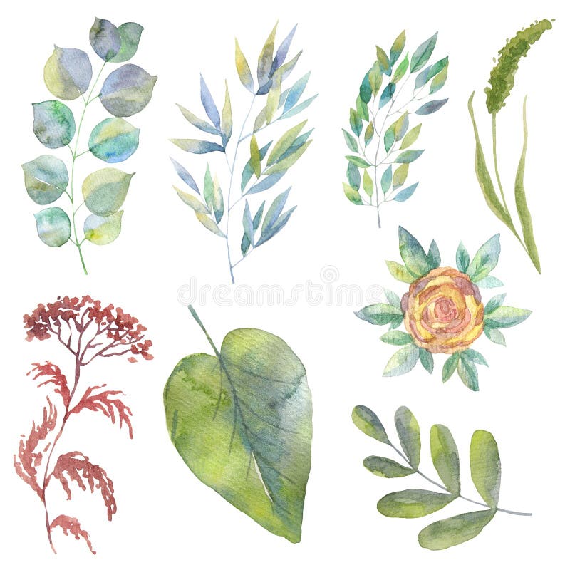 Spring Floral Design Elements. Set of Leaves, Branches Stock ...