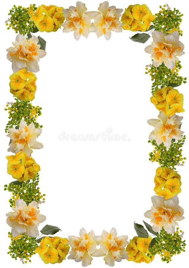 Spring floral frame stock image. Image of primula, frame - 18939759