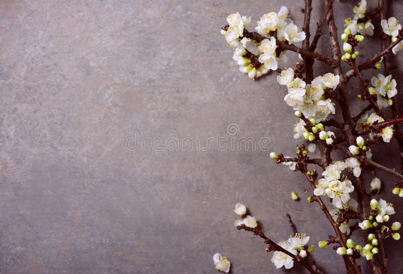 Spring Floral Moody Background Stock Image - Image of flowers ...