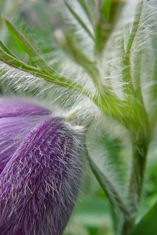 Tapestry stock image. Image of tapestry, contrast, embroidery - 12700159