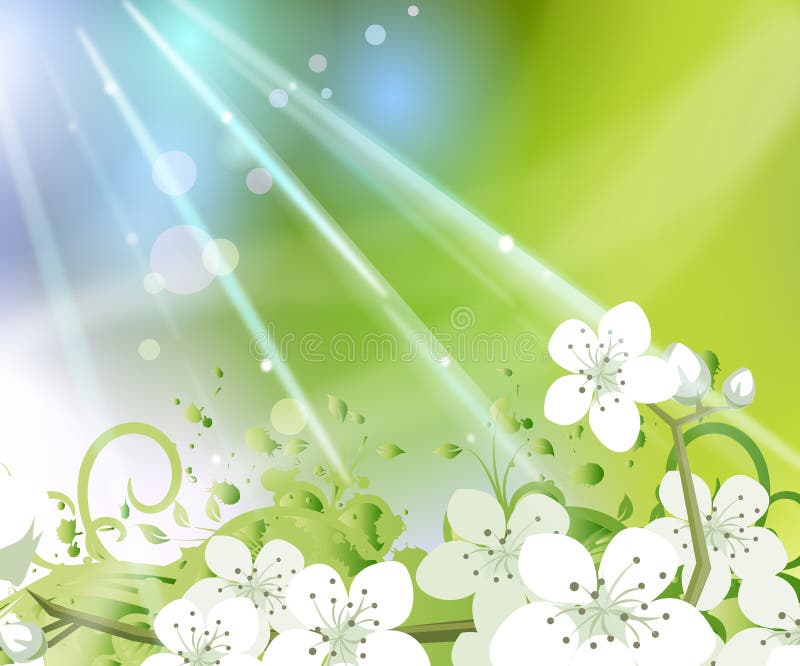 Spring Flower Background stock vector. Illustration of beauty - 9005396