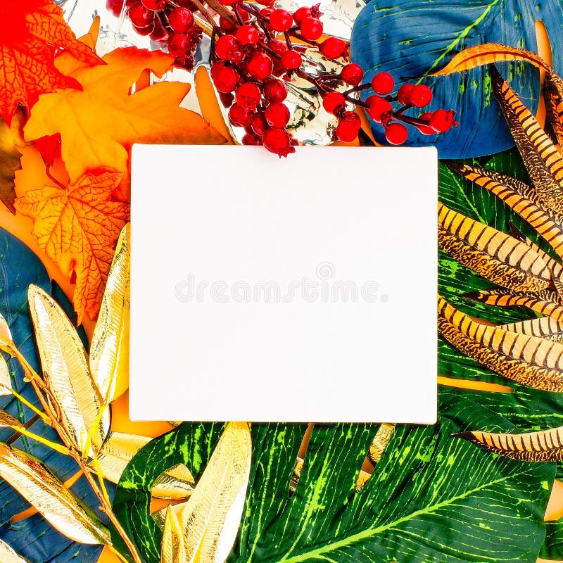 Spring Flower Background with Paper Card Note. Flat Lay. Nature Concept ...