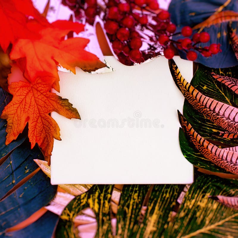 Spring Flower Background with Paper Card Note. Flat Lay. Nature Concept ...