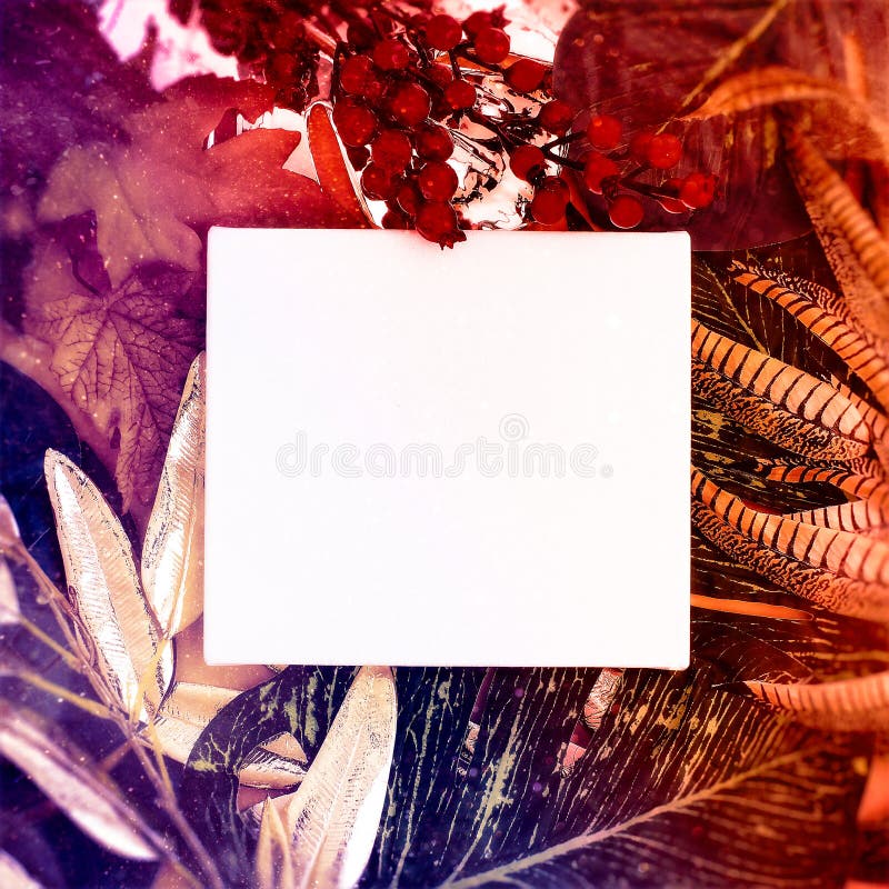 Spring Flower Background with Paper Card Note. Flat Lay. Nature Concept ...