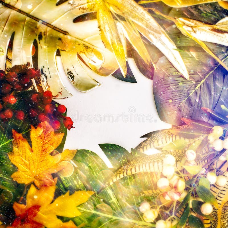 Spring Flower Background with Paper Card Note. Flat Lay. Nature Concept ...