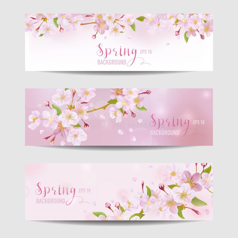 Spring Flower Banner Set stock vector. Illustration of season - 66263214