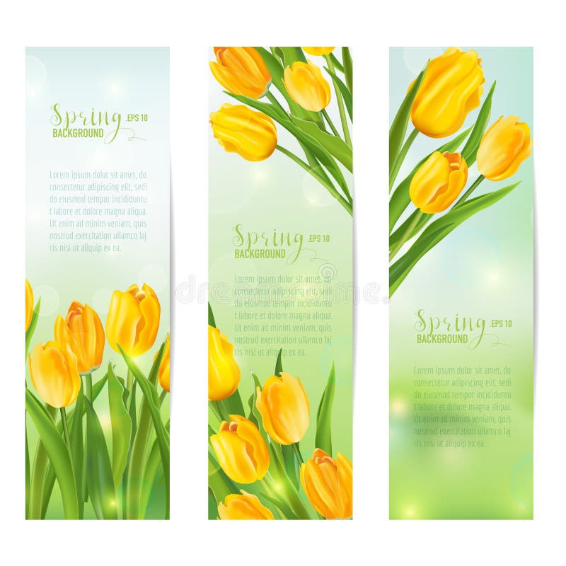 Spring Flower Banner Set stock vector. Illustration of grass - 66263248