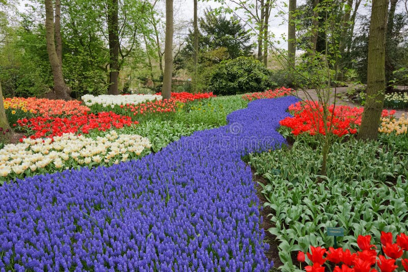 Spring garden stock image. Image of flower, keukenhof - 2258937