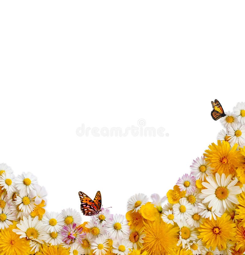 Spring Butterflies Clip Art Border