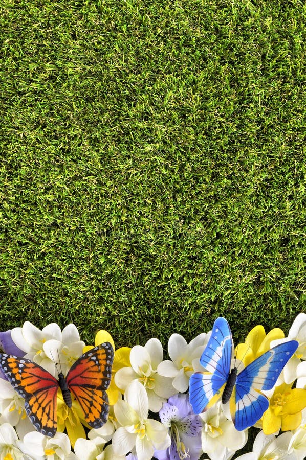 Floral Border, Pink Roses, Ribbon, Tall Vertical Stock Image - Image of ...