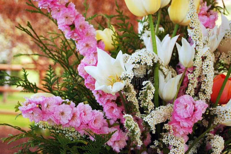 Spring flower bouquet stock photo. Image of floral, tulip - 12744892