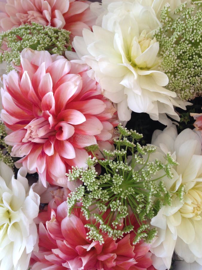 Spring flower bouquet stock image. Image of white, spring - 44137669