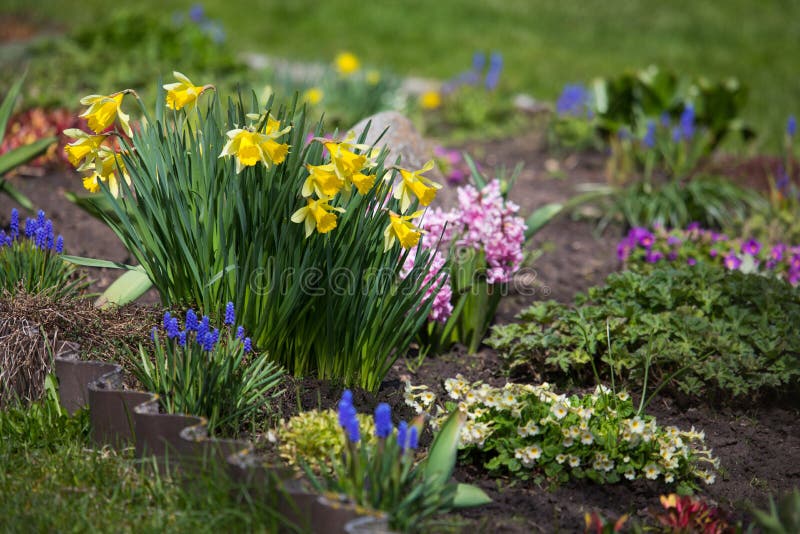 Spring flower composition stock photo. Image of outdoors - 167820384