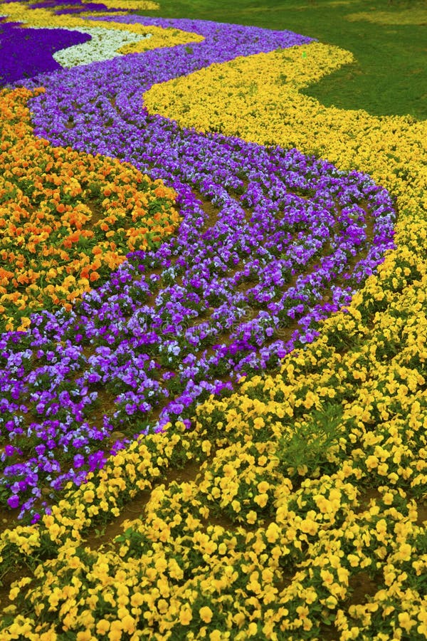 Spring Flower Garden stock image. Image of growth, lawn - 36246455