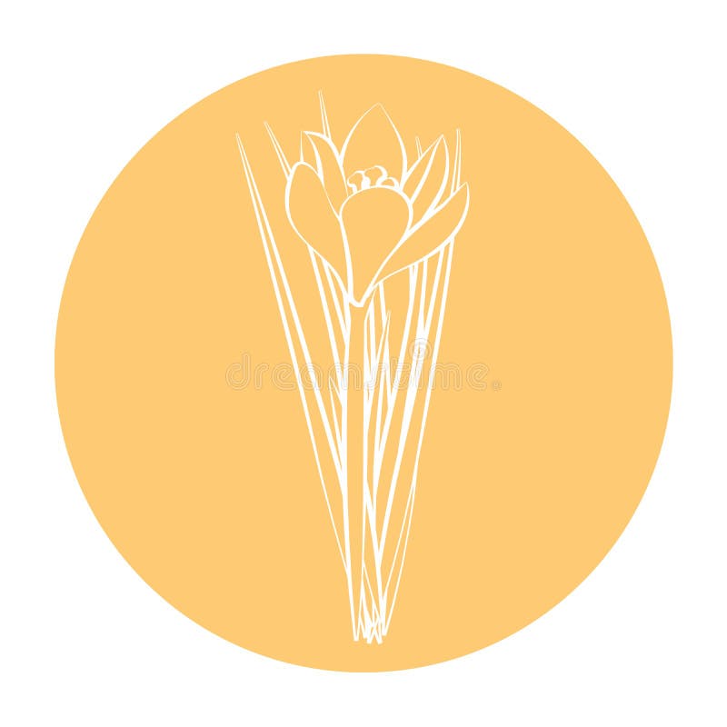 Crocus Sign Spring Stock Illustrations – 481 Crocus Sign Spring Stock ...
