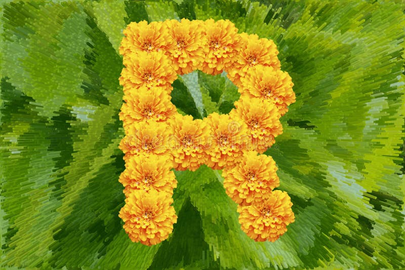 Spring Flower Letter R Concept Using Marigold. Marigold Flower Alphabet ...