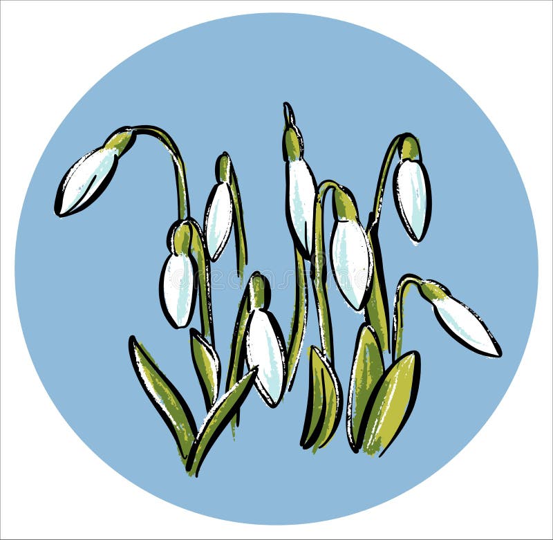 Snowdrop Flower Logo Stock Illustrations – 420 Snowdrop Flower Logo ...