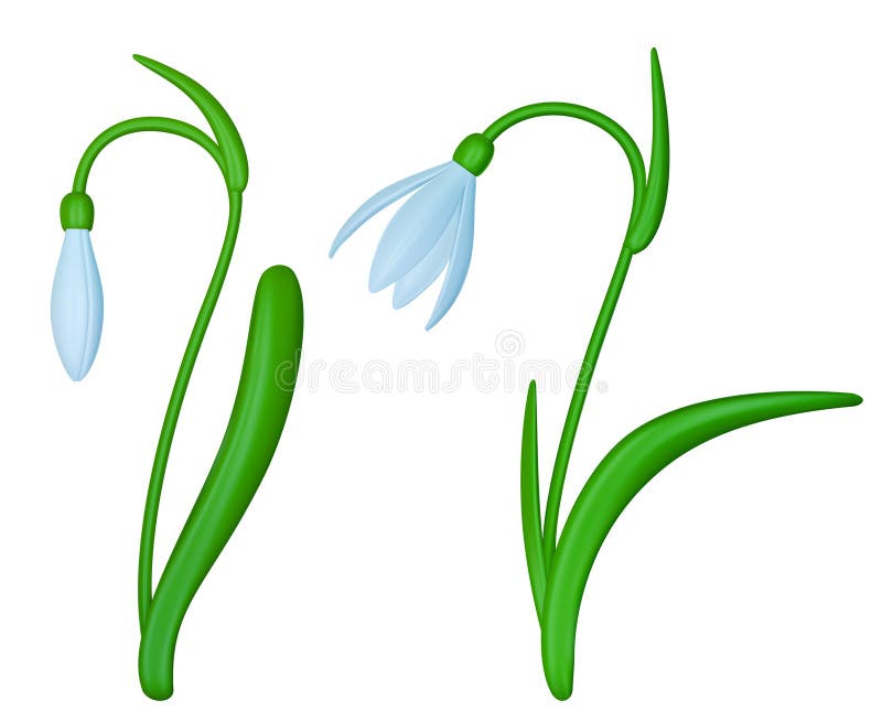 Spring Flower Snowdrop with Open and Closed Buds in Realistic 3d Style ...