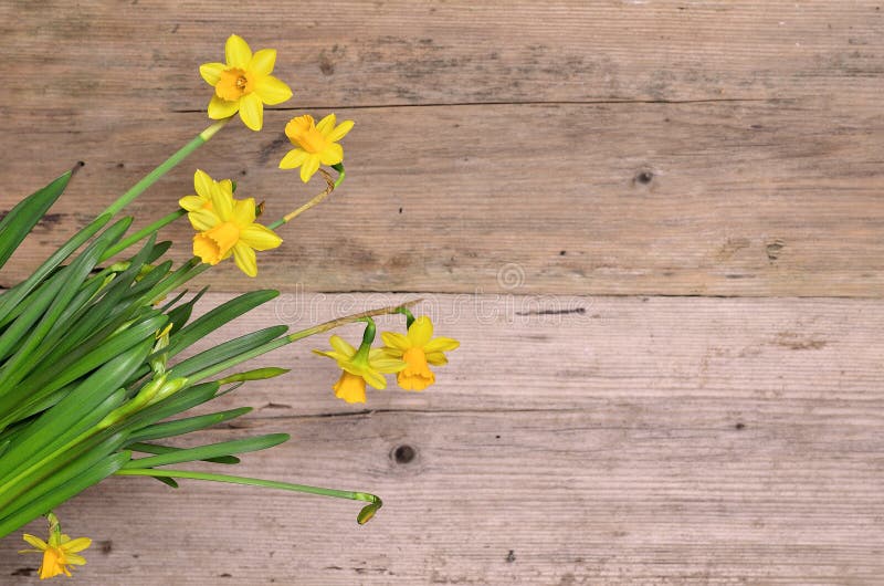 Spring Flower Wood Background Stock Image - Image of grunge, valentines ...