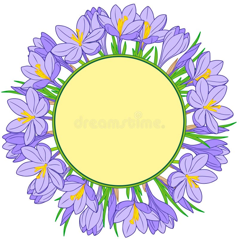 Spring Flower Banner of Crocuses. Watercolor Background Stock ...