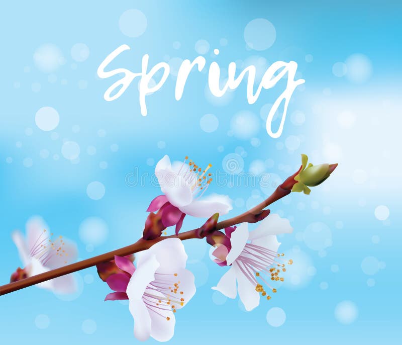 Spring Flowering Peach Stock Illustrations – 351 Spring Flowering Peach ...