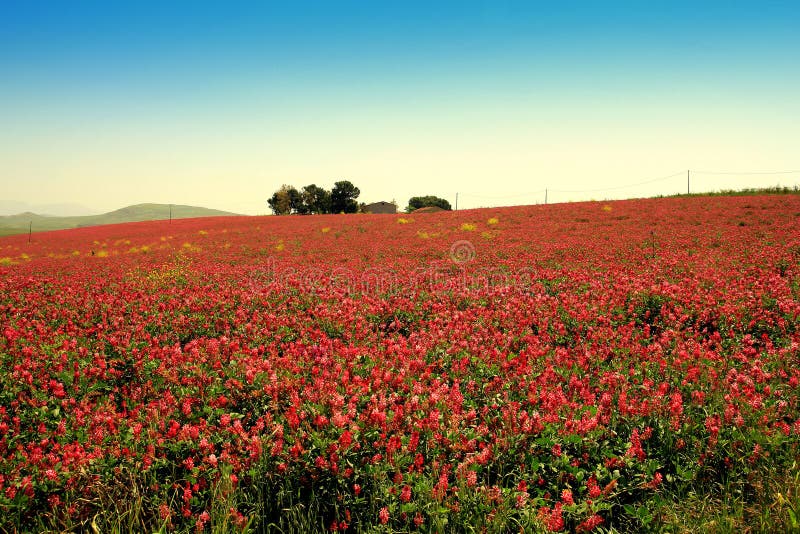 142,575 Prairie Landscape Stock Photos - Free & Royalty-Free Stock ...