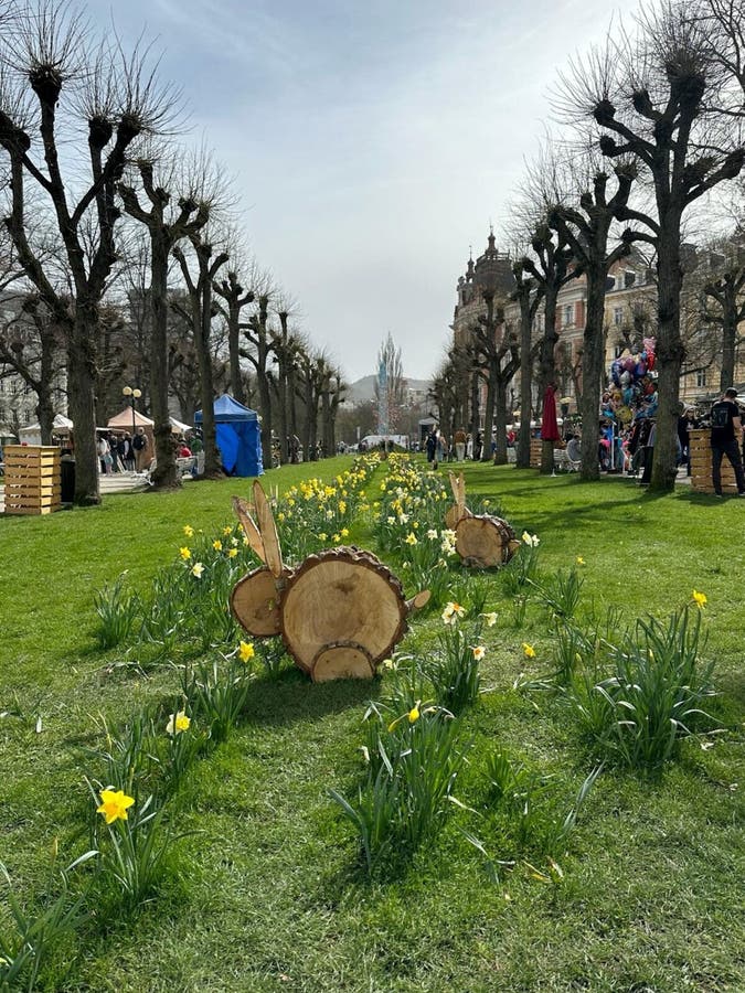Spring Flowering. Small White Flowers in Bloom during Spring. Stock ...