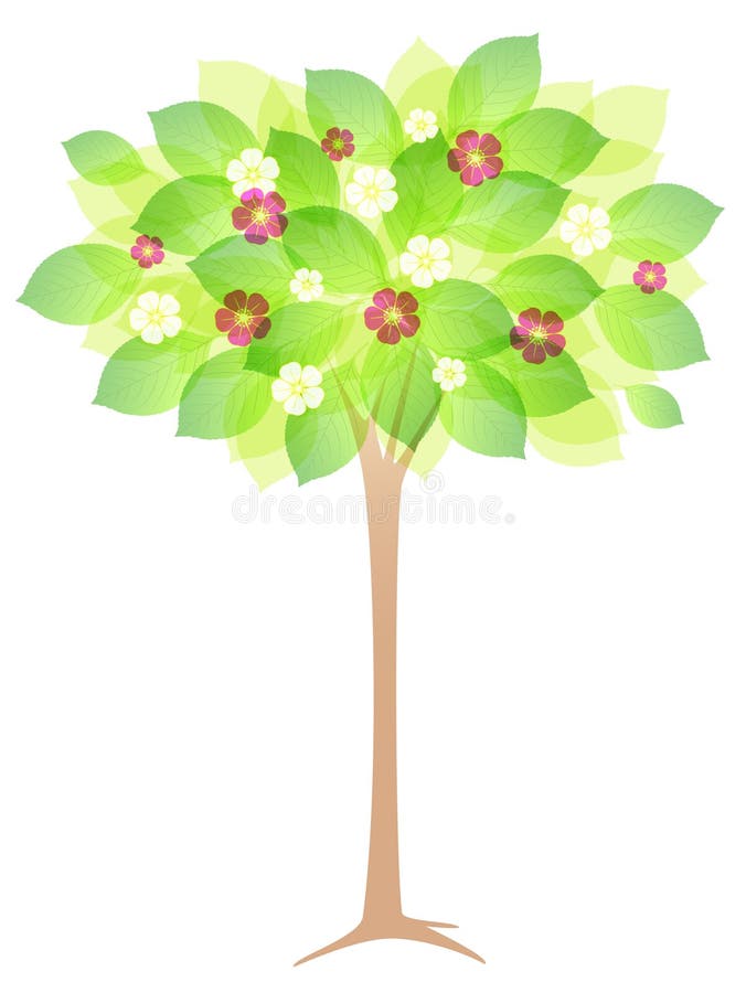 Spring flowering tree stock vector. Illustration of leaf - 19340738