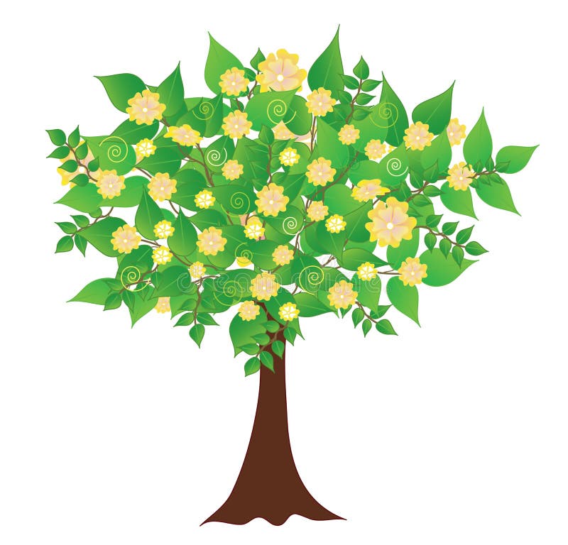 Flowering apricot tree stock vector. Illustration of clip - 61491100