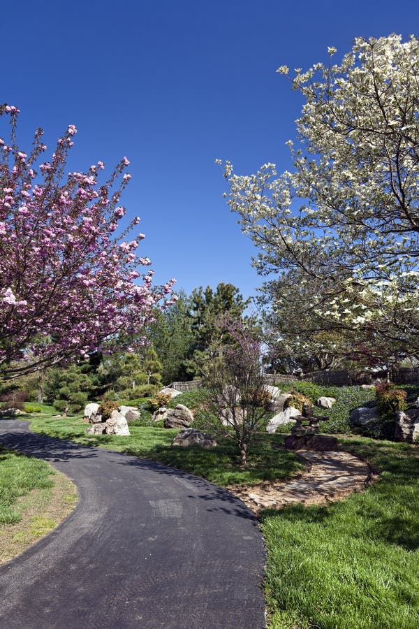 Spring Flowering Trees on a Park Pathway Stock Photo - Image of trees ...