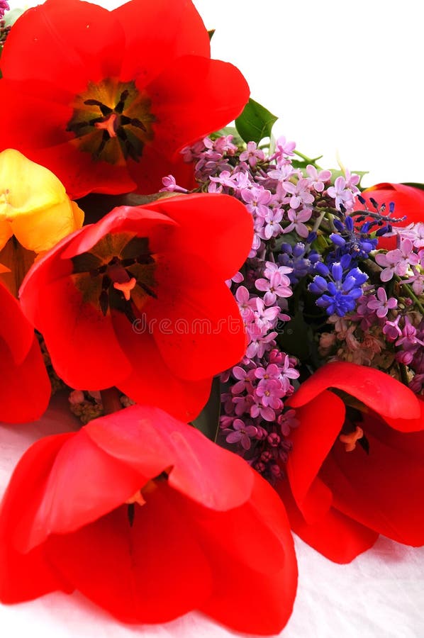 Spring flowers stock photo. Image of bloom, mauve, lilac - 13244388