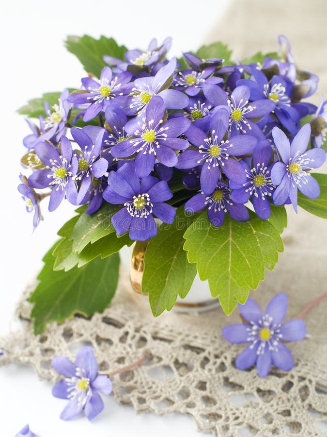 Spring flowers stock photo. Image of bouquet, bunch, focus - 26253012